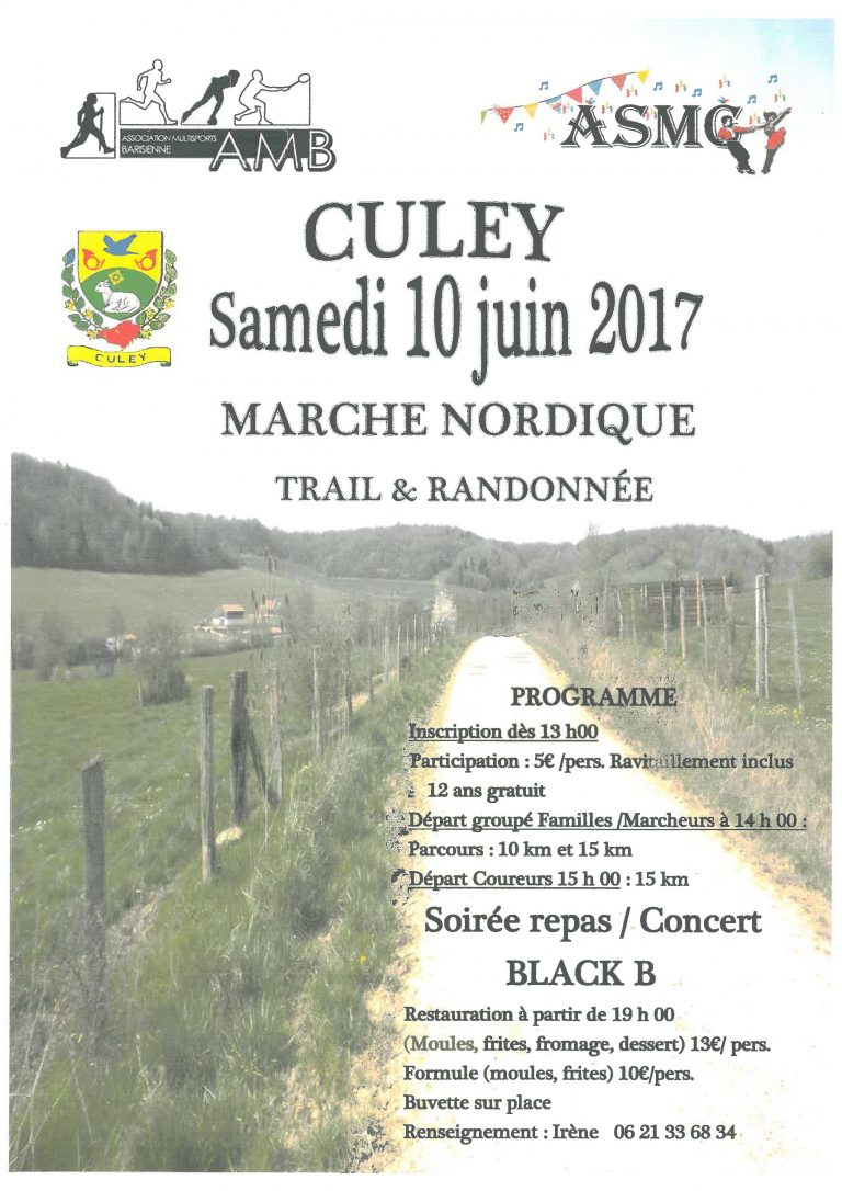SORTIE DE FIN D’ANNEE A CULEY | AMB55